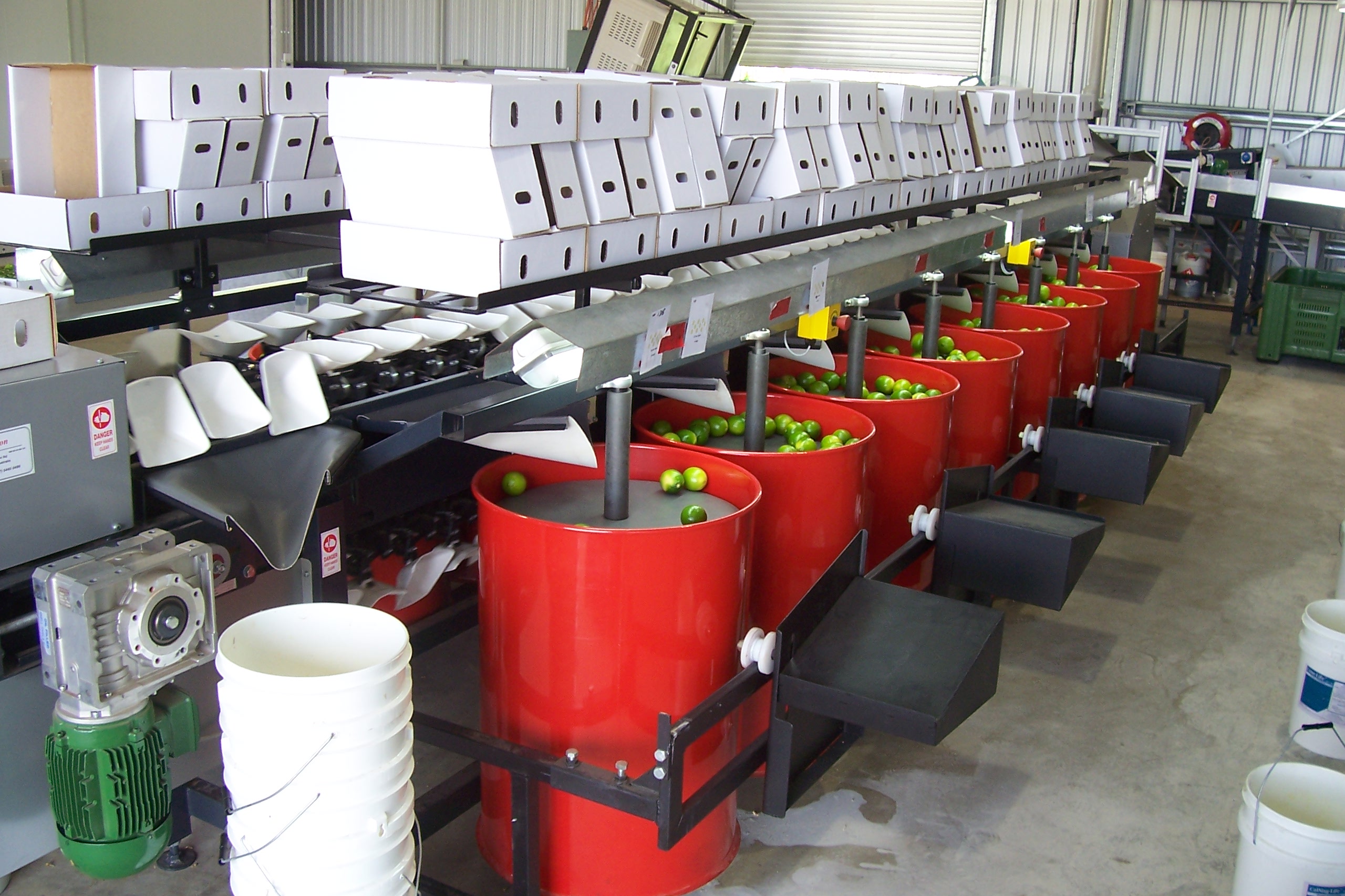 Inline Weight Grader, Tomatoes, Fruit, KW Automation