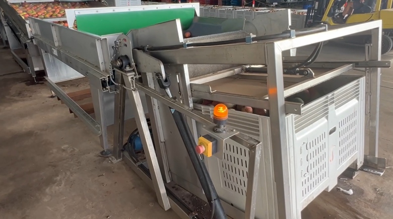 Bulk Bin Tipper, Avocado, Fruit, KW Automation